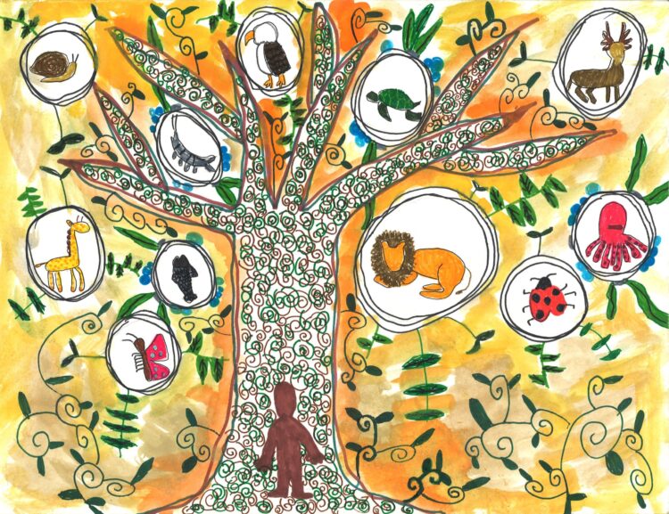 Global Canvas | David Shepherd Wildlife Foundation