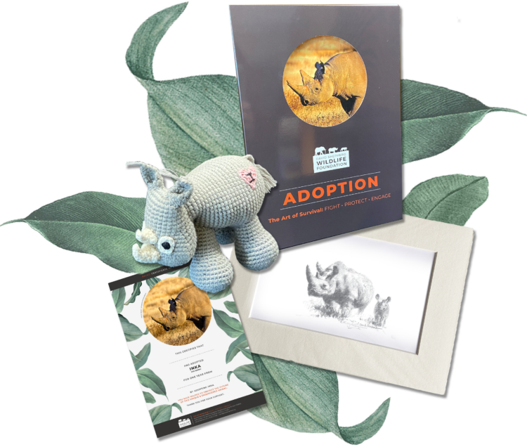 Adopt a Rhino | Hand-knitted Rhino toy included | David Shepherd ...