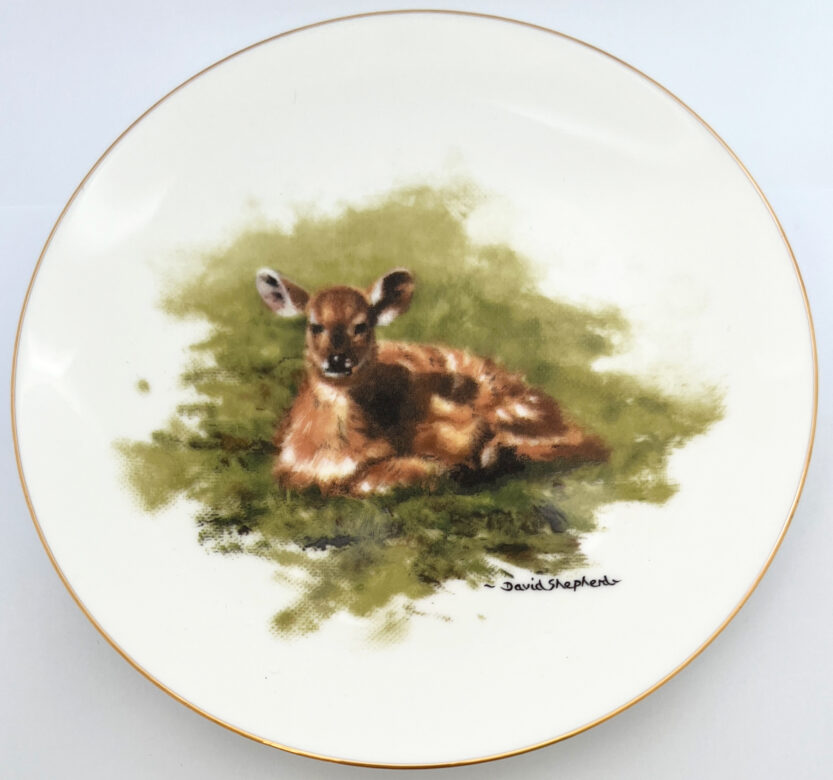David Shepherd Wildlife Art | David Shepherd Wildlife Foundation