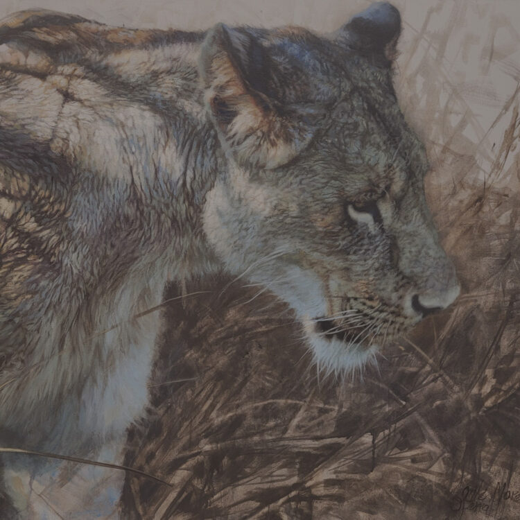 WAY 2024 | David Shepherd Wildlife Foundation