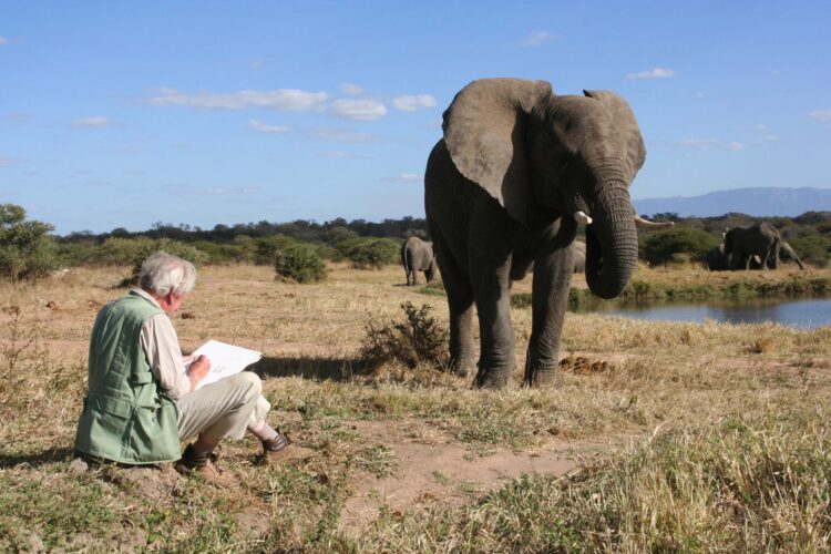 2024: Four Decades of Species-Saving Conservation | David Shepherd ...