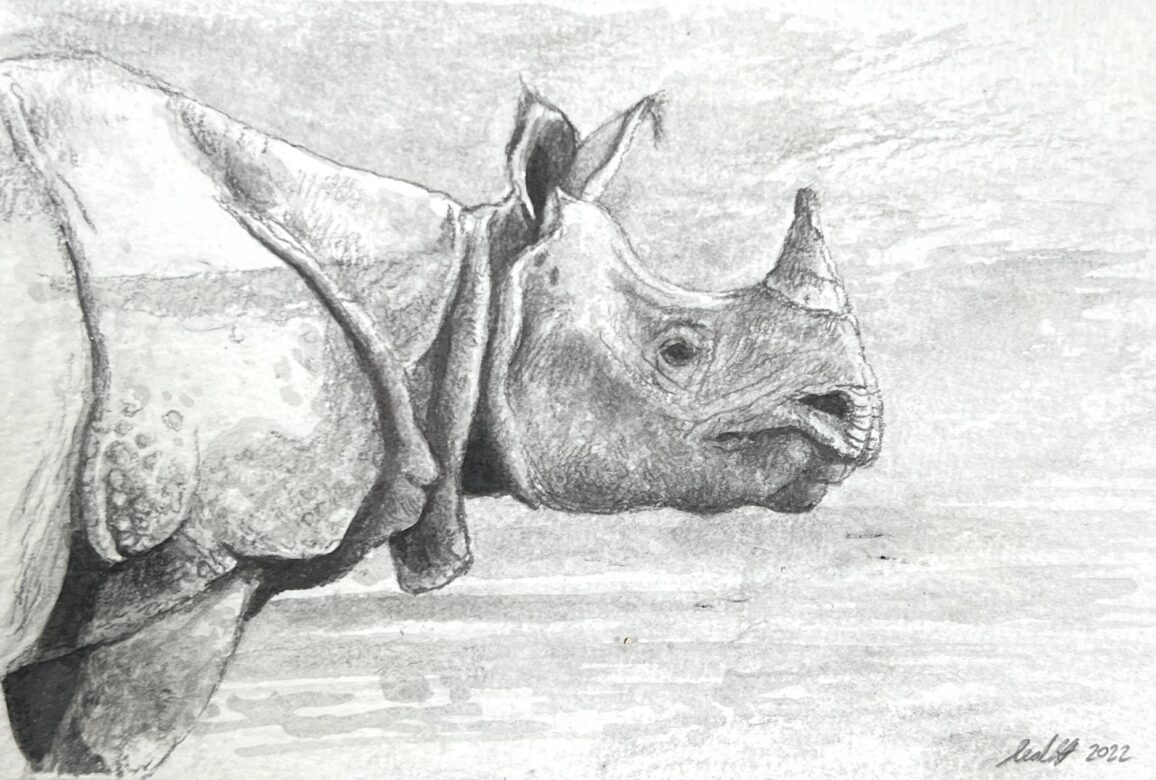 Rhino Art: Prints, Paintings & More| David Shepherd Wildlife Foundation