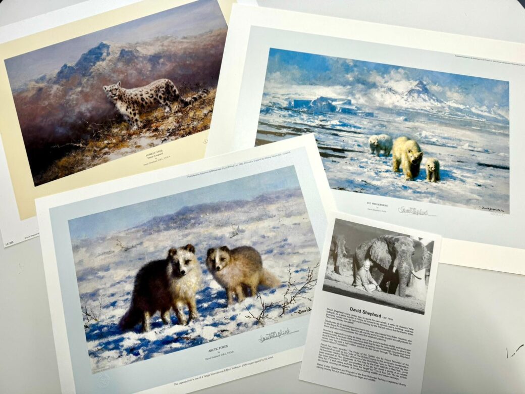 Online Shop | David Shepherd Wildlife Foundation