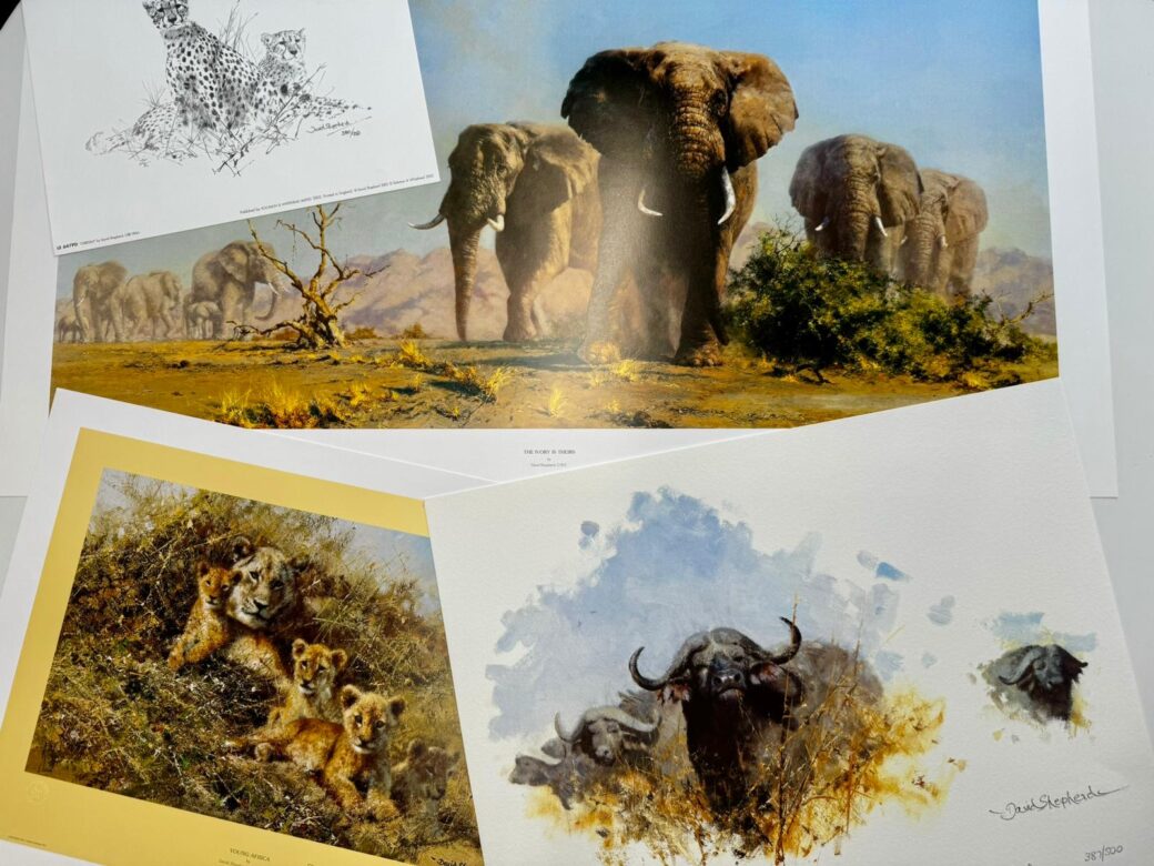 Elephant Art: Drawings, Paintings & More | David Shepherd Wildlife ...
