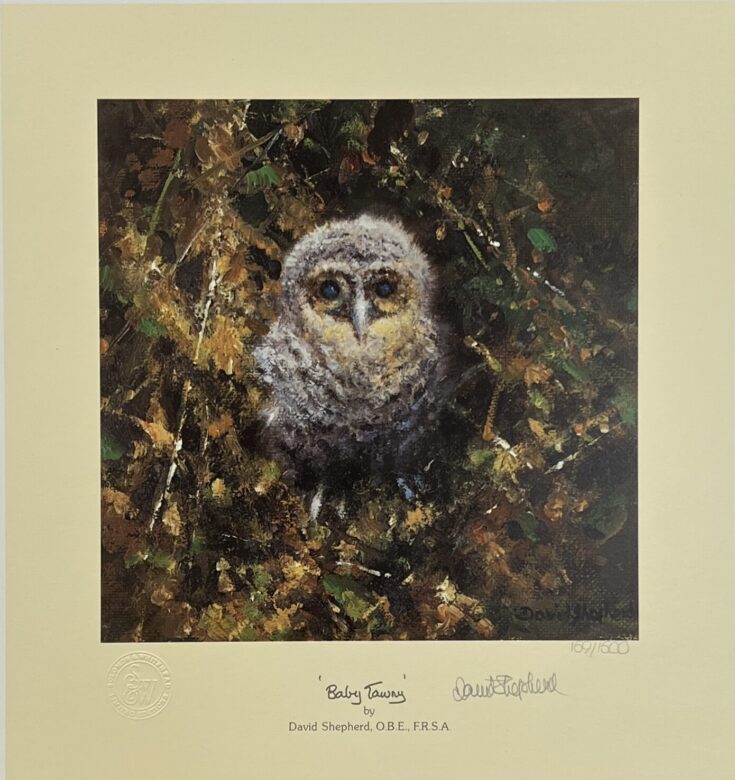 David Shepherd Artwork | David Shepherd Wildlife Foundation