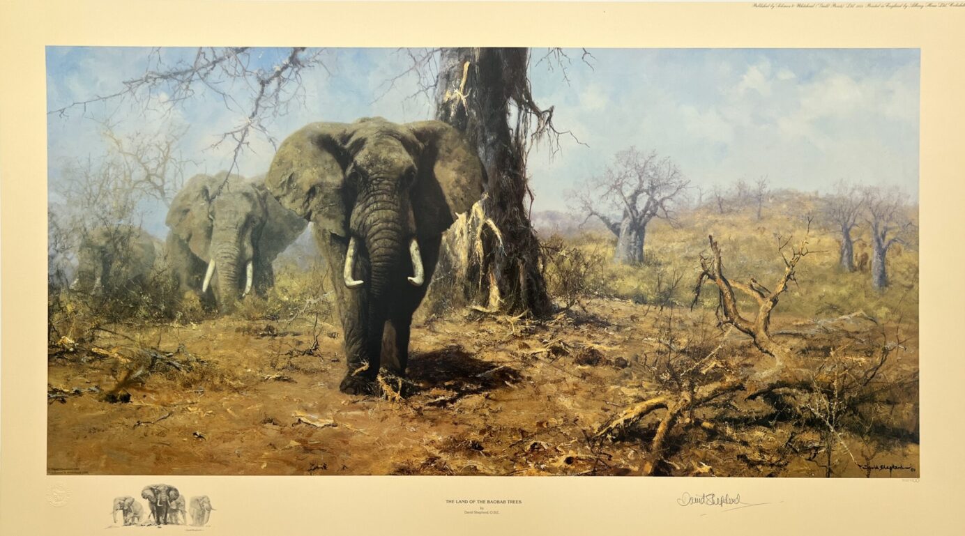 Elephant Artwork | David Shepherd Wildlife Foundation