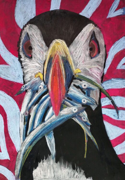 Global Canvas Finalists 2024 | David Shepherd Wildlife Foundation