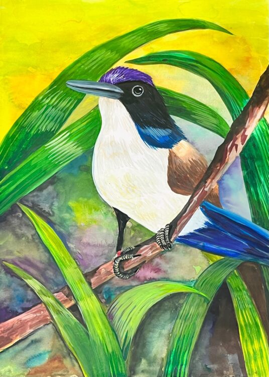 Global Canvas Finalists 2024 | David Shepherd Wildlife Foundation