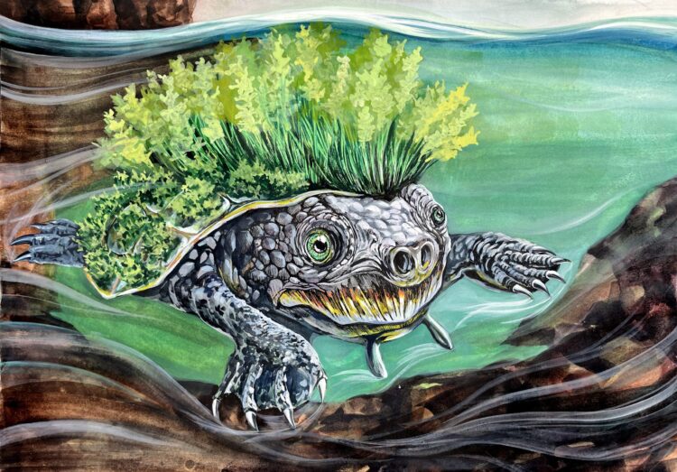 Global Canvas Finalists 2024 | David Shepherd Wildlife Foundation