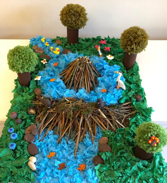 Global Canvas Finalists 2024 | David Shepherd Wildlife Foundation