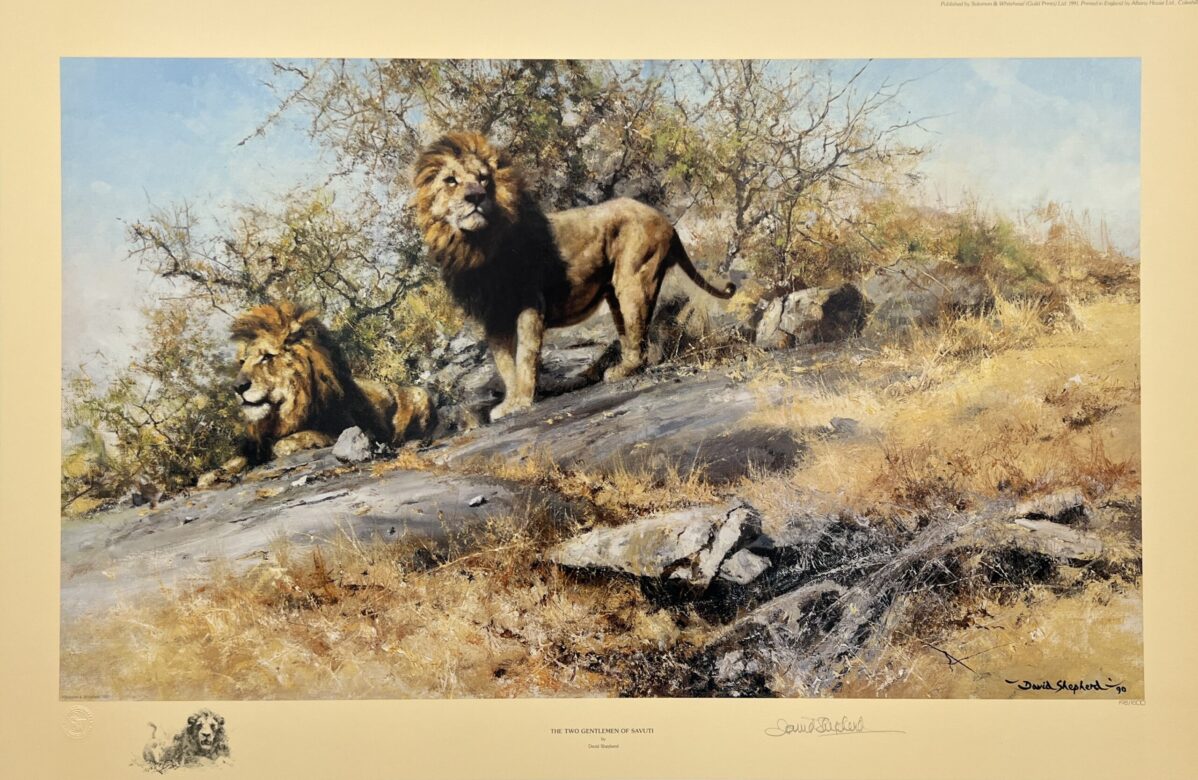 David Shepherd Wildlife Art | David Shepherd Wildlife Foundation