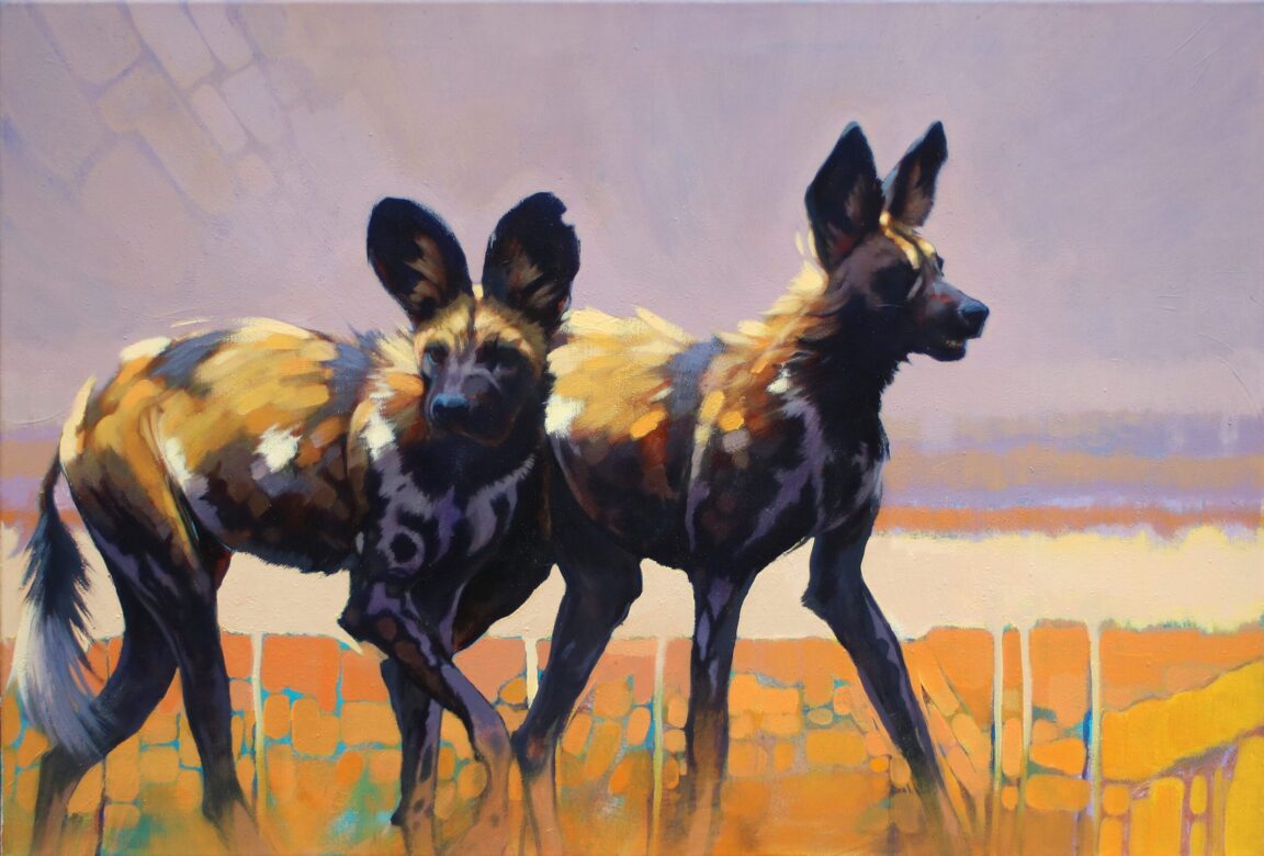 David Shepherd Wildlife Foundation | The Wildlife Conservation Charity