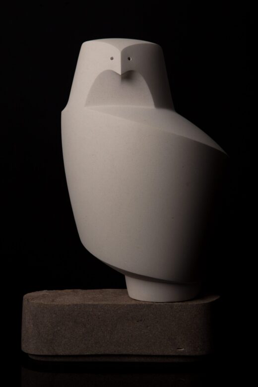 Abstract World Finalists | David Shepherd Wildlife Foundation