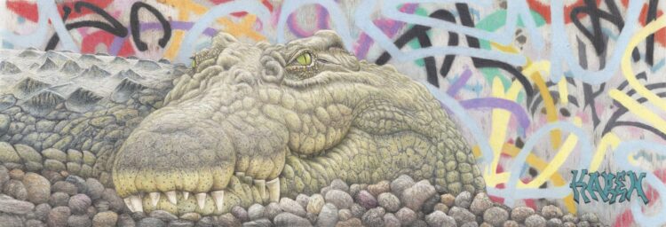 Abstract World Finalists | David Shepherd Wildlife Foundation