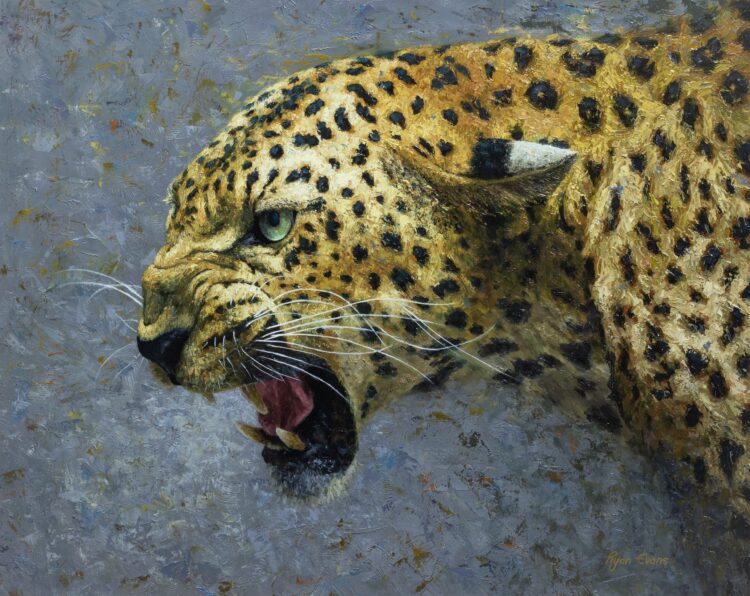 WAY 2025 | David Shepherd Wildlife Foundation