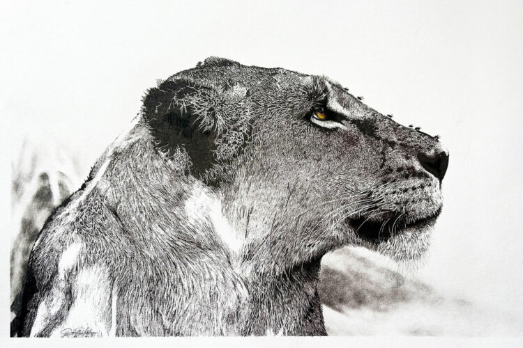 Wildlife Artist of the Year 2024 Exhibition | David Shepherd Wildlife ...
