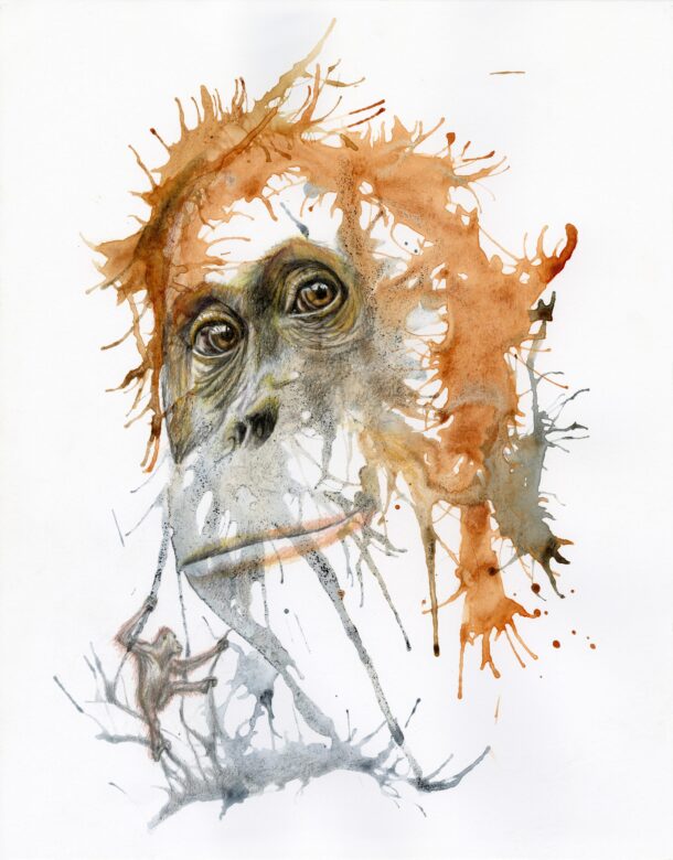 Environmental Artivism Finalists | David Shepherd Wildlife Foundation