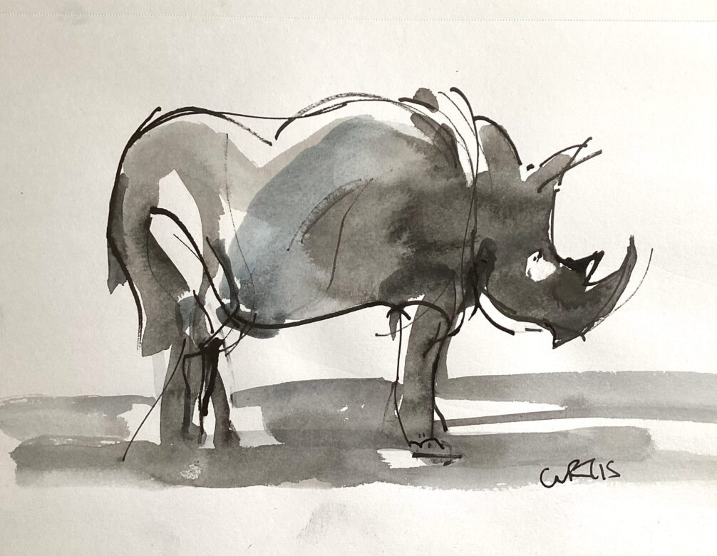 Facing Extinction Finalists | David Shepherd Wildlife Foundation