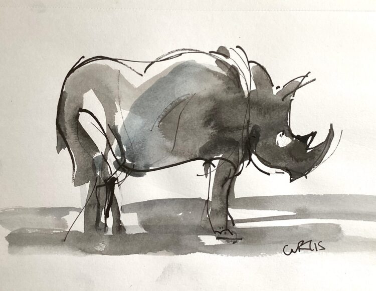 Wildlife Artist of the Year 2024 Exhibition | David Shepherd Wildlife ...