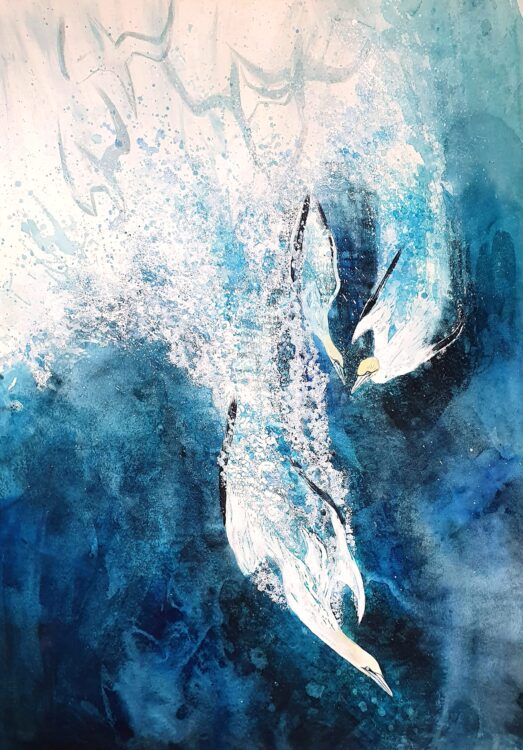 Wings Finalists | David Shepherd Wildlife Foundation