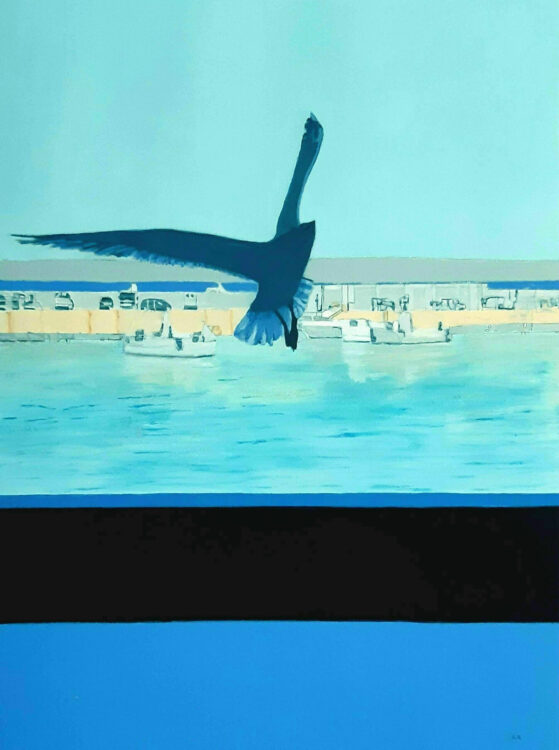 Wings Finalists | David Shepherd Wildlife Foundation