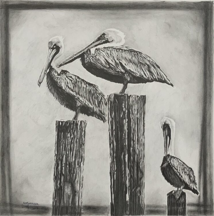 Wildlife Artist of the Year 2024 Exhibition | David Shepherd Wildlife ...