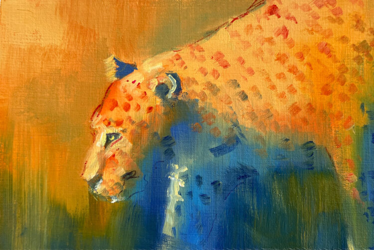 Animal Behaviour Finalists | David Shepherd Wildlife Foundation