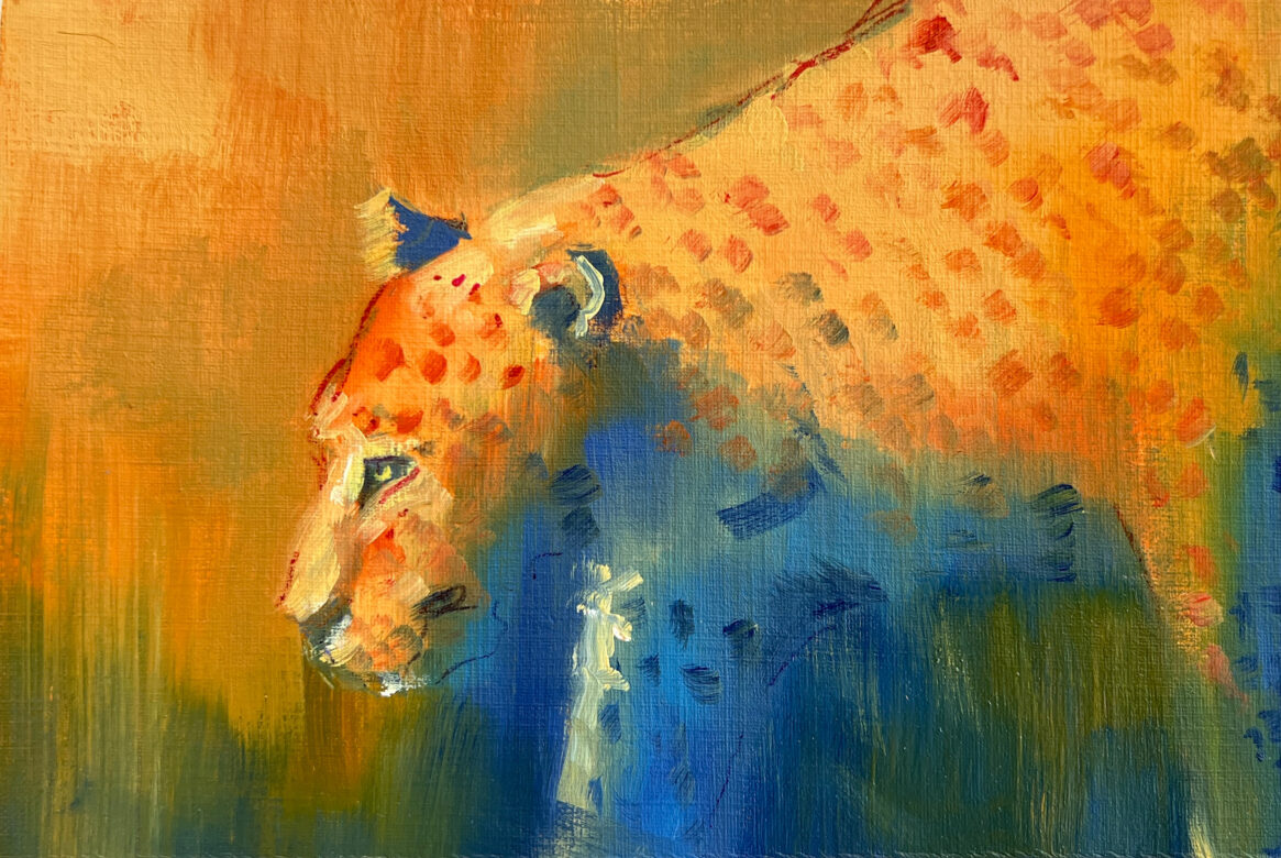 Big Cats Art: Lion, Tiger & Leopard Drawings | David Shepherd Wildlife ...