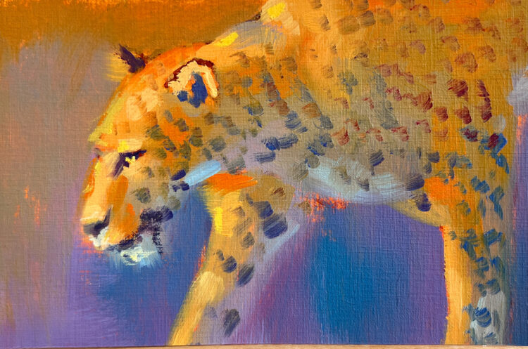 Mini Masters | David Shepherd Wildlife Foundation