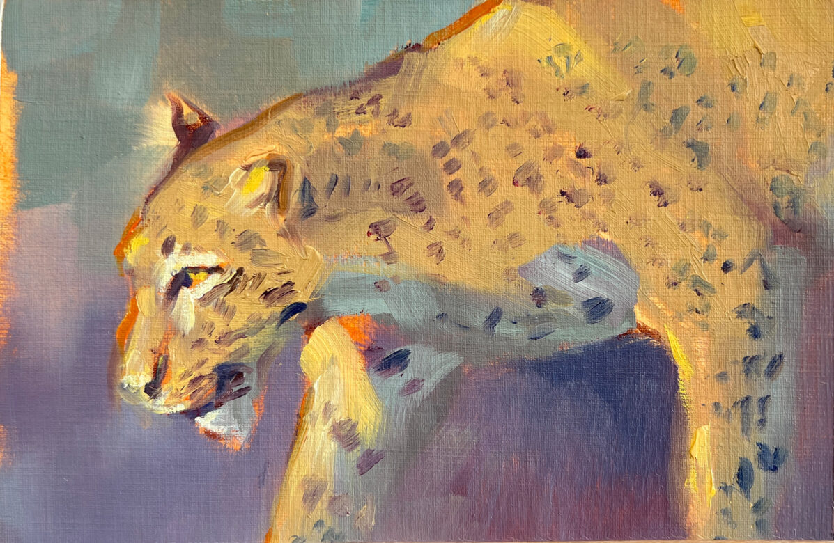 Big Cats Art: Lion, Tiger & Leopard Drawings | David Shepherd Wildlife ...