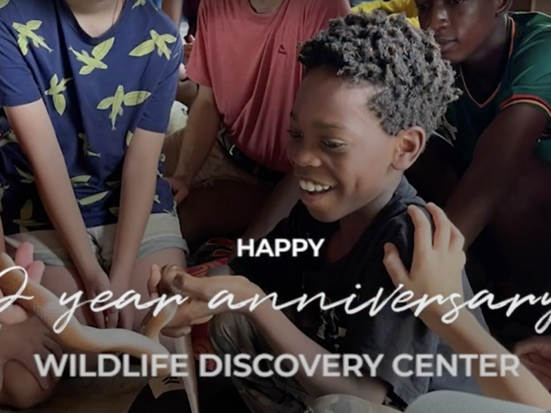 Celebrating Two Years of the Wildlife Discovery Centre: A Journey of ...