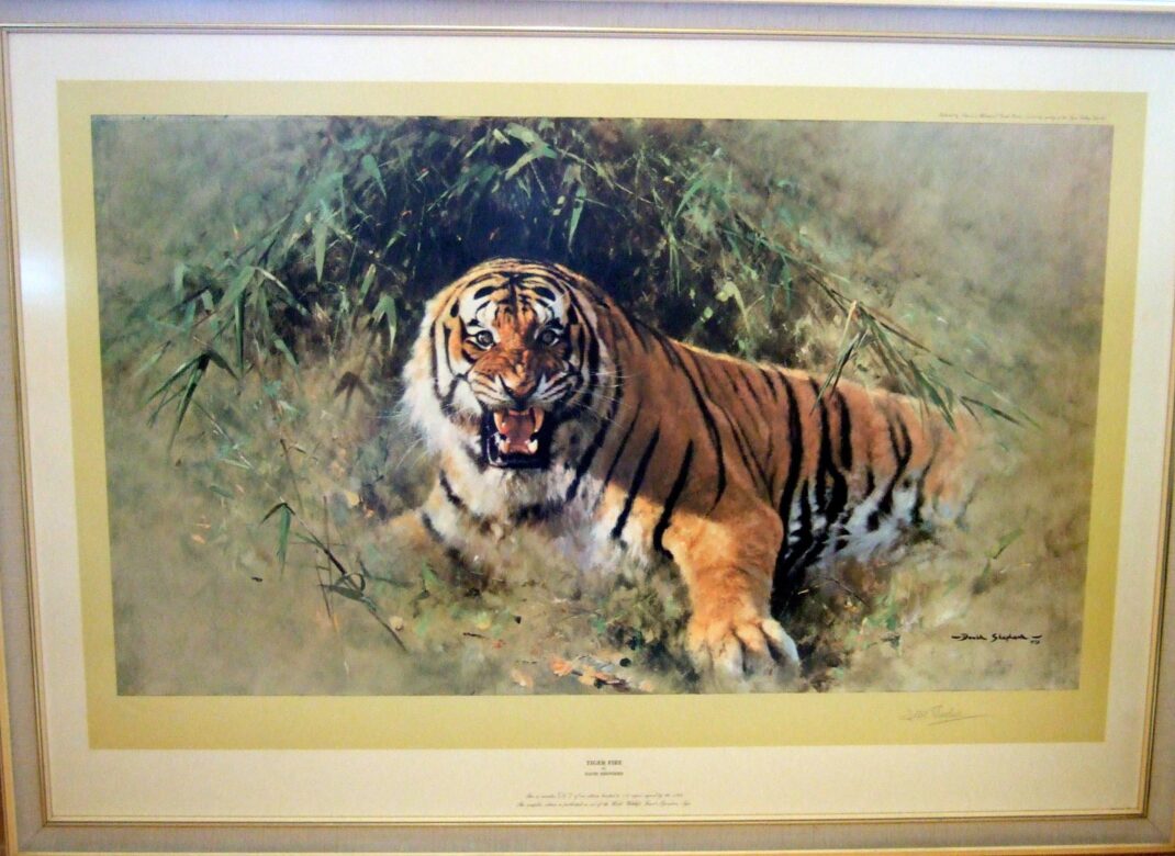 David Shepherd Wildlife Art | David Shepherd Wildlife Foundation