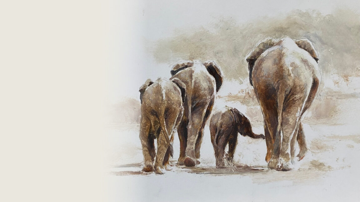David Shepherd Wildlife Foundation | The Wildlife Conservation Charity
