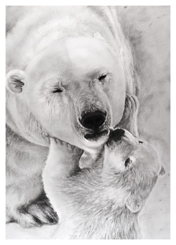 Tom Middleton - Mother & Cub | David Shepherd Wildlife Foundation