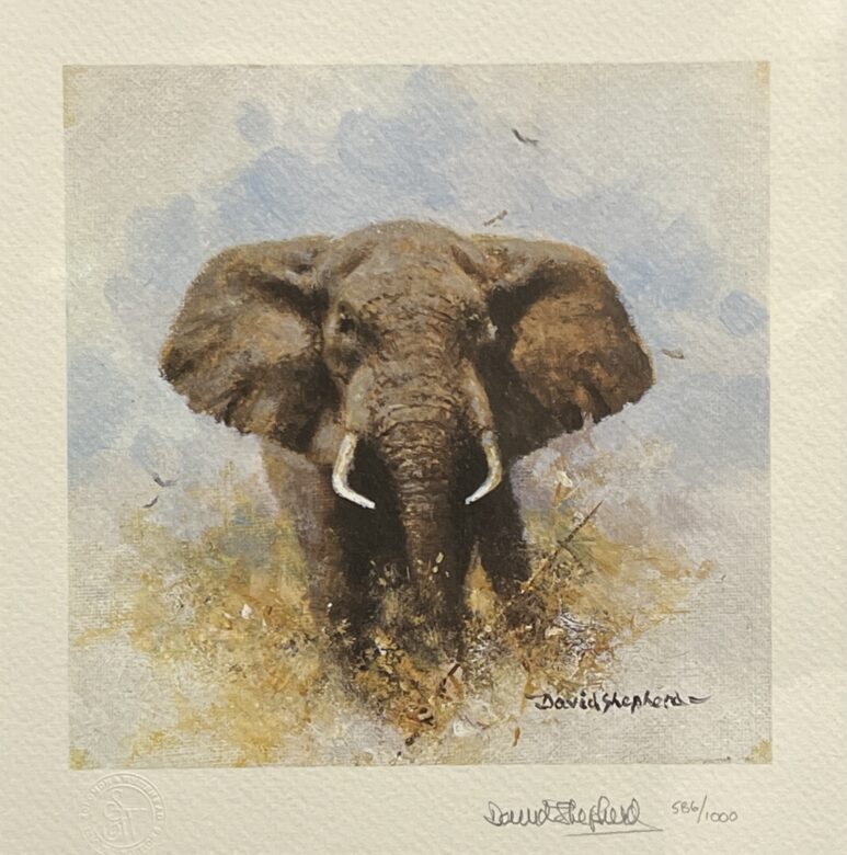 Elephant Art: Drawings, Paintings & More | David Shepherd Wildlife ...