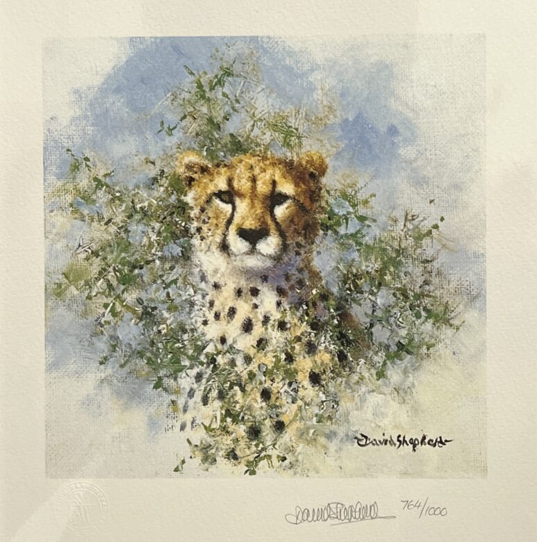 Buy Wildlife Art - Save Iconic Species | David Shepherd Wildlife Foundation