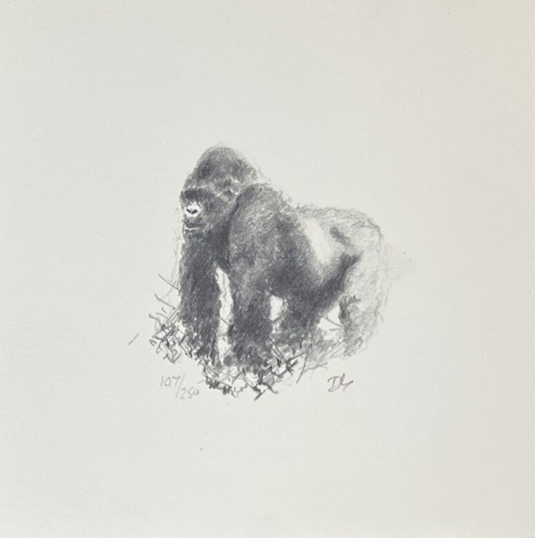 David Shepherd Wildlife Art | David Shepherd Wildlife Foundation