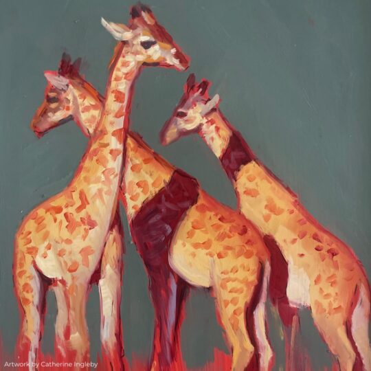 Global Canvas | David Shepherd Wildlife Foundation