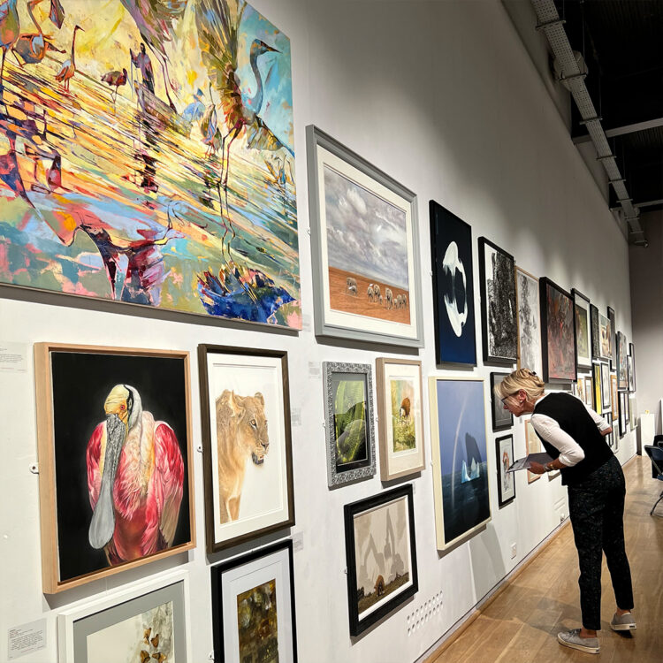Wildlife Artist of the Year 2025 Exhibition | David Shepherd Wildlife ...