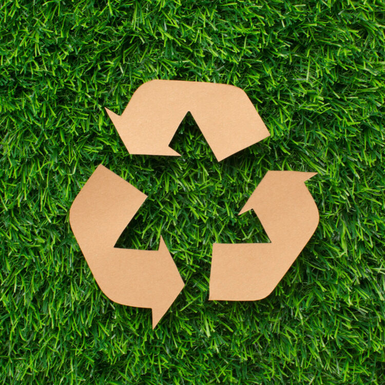 Green Ideas | For Young People | David Shepherd Wildlife Foundation