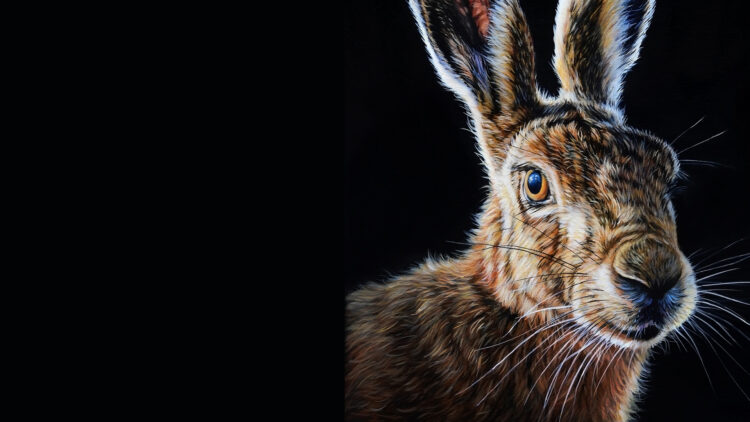 Art of Survival | David Shepherd Wildlife Foundation