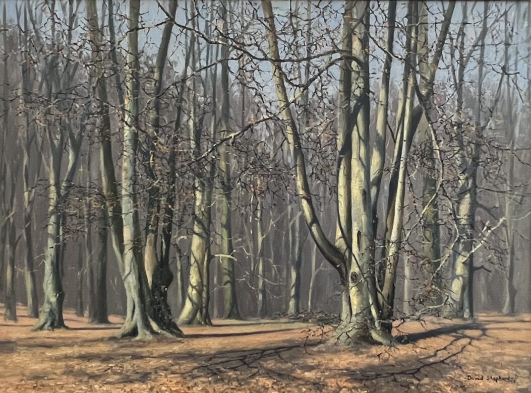 David Shepherd Wildlife Art | David Shepherd Wildlife Foundation