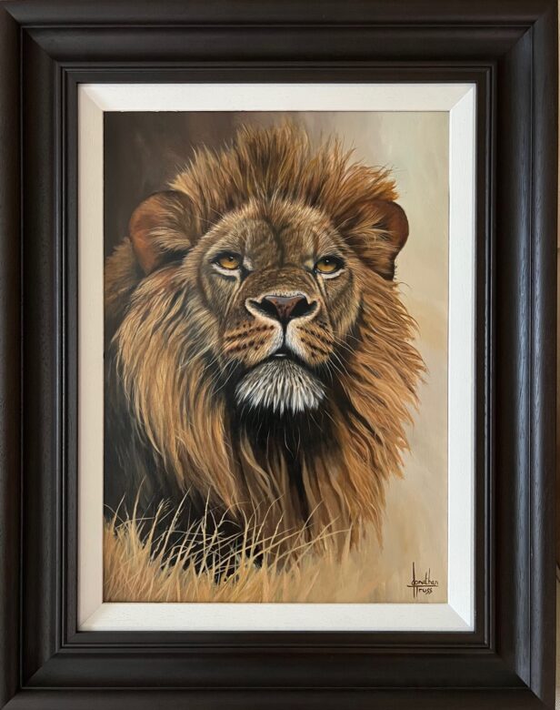Lion Conservation & Endangered Status | David Shepherd Wildlife Foundation