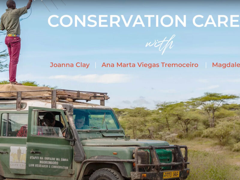 Careers In Conservation | For Young People | David Shepherd Wildlife ...