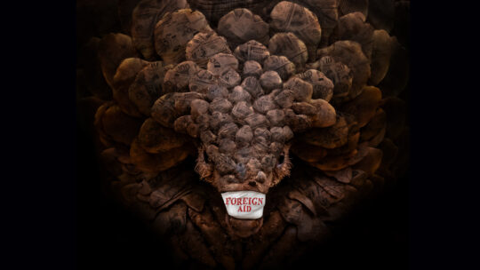 S.O.S.(L)... Save Our Snow Leopards! | David Shepherd Wildlife Foundation