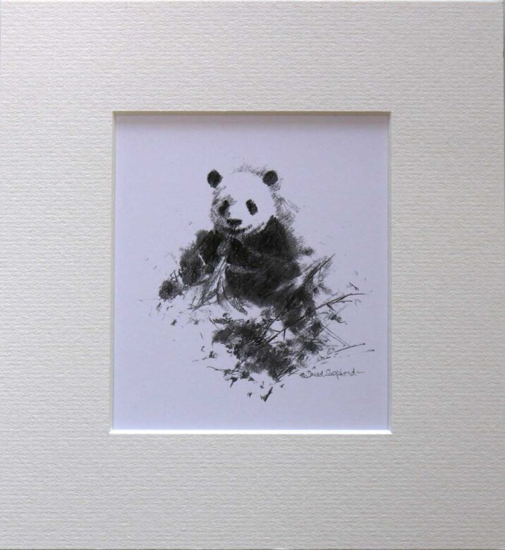 Buy Wildlife Art - Save Iconic Species | David Shepherd Wildlife Foundation
