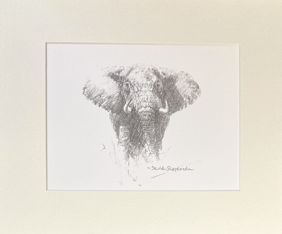 David Shepherd Art: Paintings & Prints | David Shepherd Wildlife Foundation