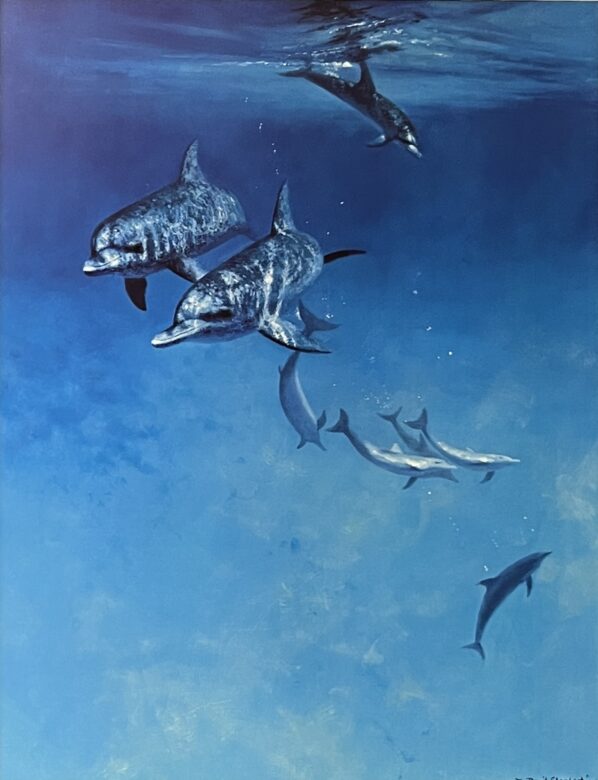 Buy Wildlife Art - Save Iconic Species | David Shepherd Wildlife Foundation