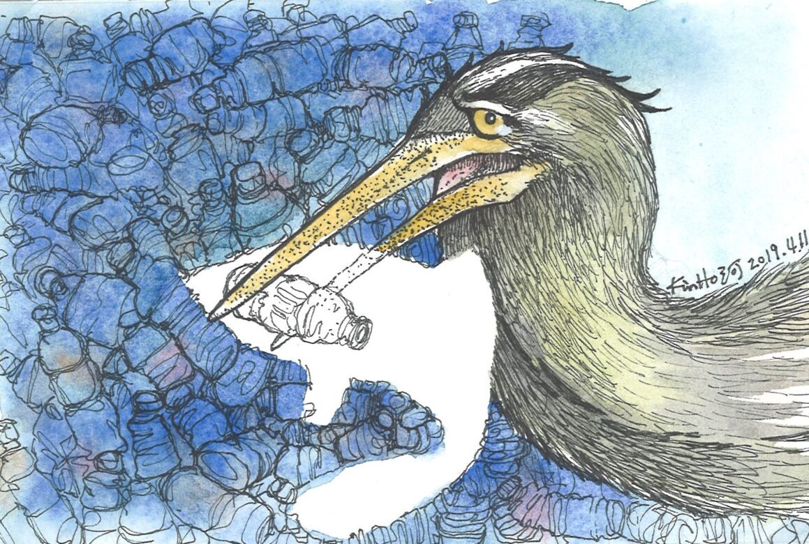 Buy Wildlife Art - Save Iconic Species | David Shepherd Wildlife Foundation