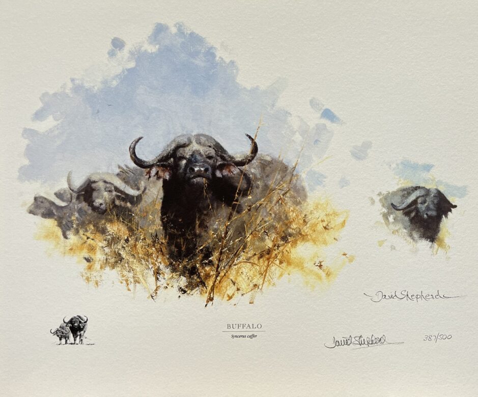 Buy Wildlife Art - Save Iconic Species | David Shepherd Wildlife Foundation
